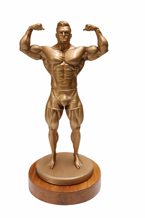 3D printed Bronze Bodybuilder Figurine on Wooden Base – EtAura